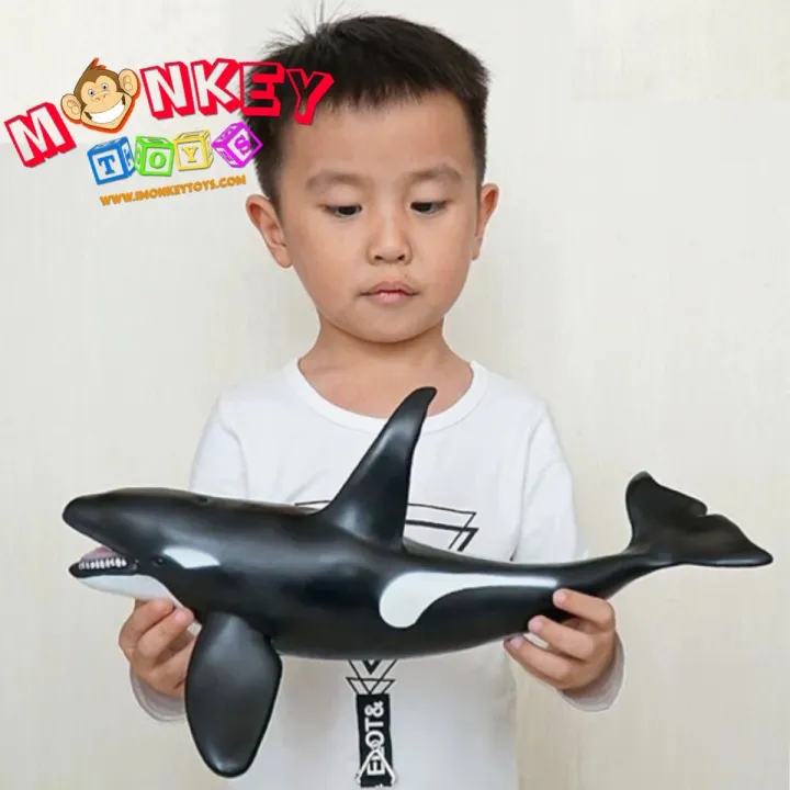 Monkey Toys - Whale Killer ปลาวาฬเพชฌฆาต ขนาด 42.00 CM แบบนิ่ม (จาก ...