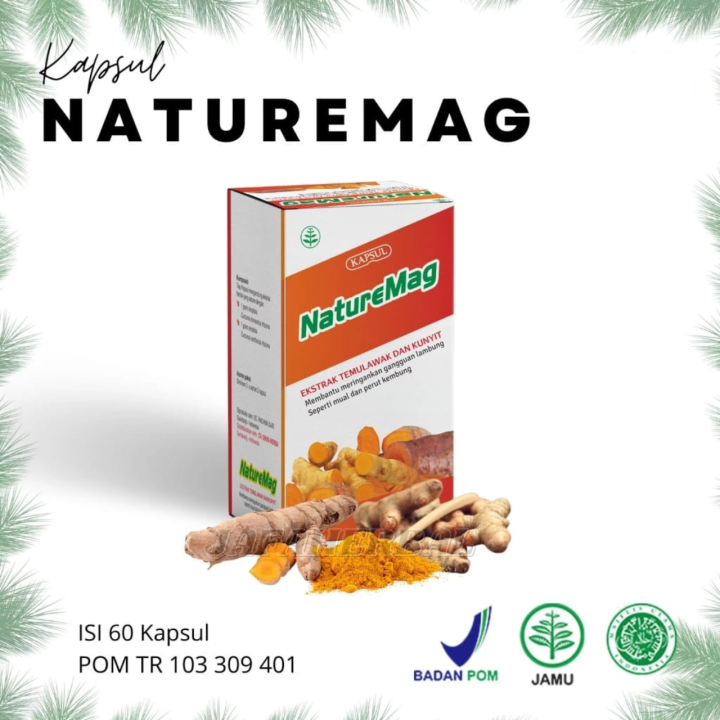 Nature Mag Ekstrak Temulawak Dan Kunyit 60 Kapsul - Obat Herbal Maag ...