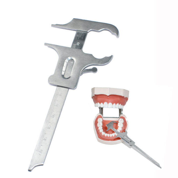 Dental straightening of teeth Ruler Stainless Steel Dental Ortho ...