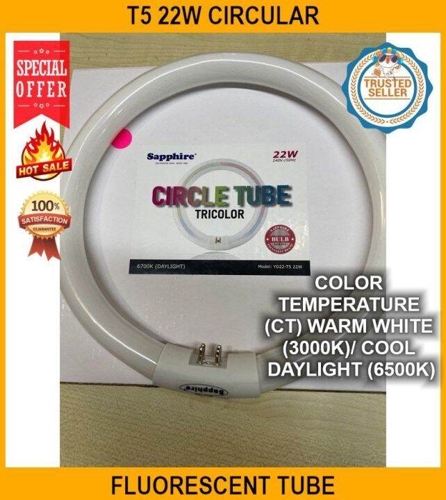 T6 Circular Light Bulb | Shelly Lighting