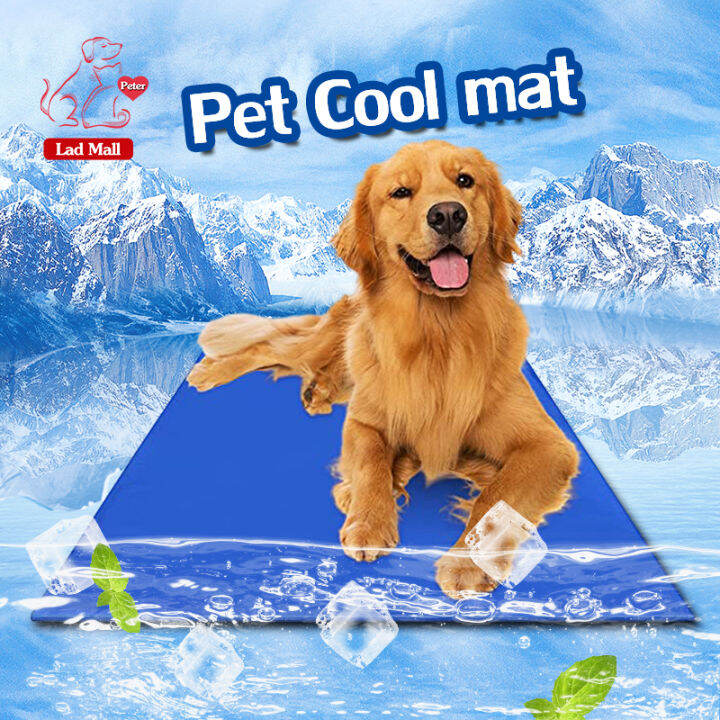 Pet Cool mat แผ่นเจลเย็น ที่นอนเย็น เบาะนอนเย็น สำหรับสุนัขและแม สำหรับ ...