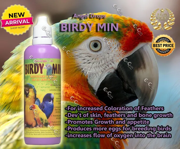 Angel Drops BIRDY MIN 120ml (Purple Bottle) Multivitamins and Minerals ...