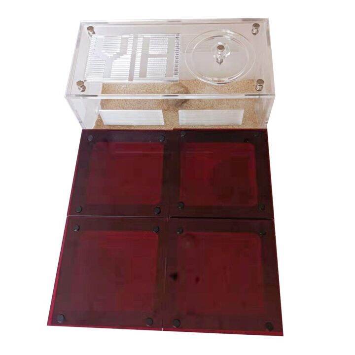 Ant Farm Live House Castle Insect Nest Queen Breeding Area Ant Nest ...