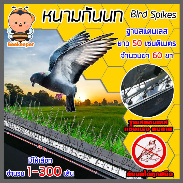 หนามไล่นก ฐานสแตนเลส ยาว 50 ซม. มีให้เลือก แพ็ค 1-300 เส้น อุปกรณ์ไล่นก ...