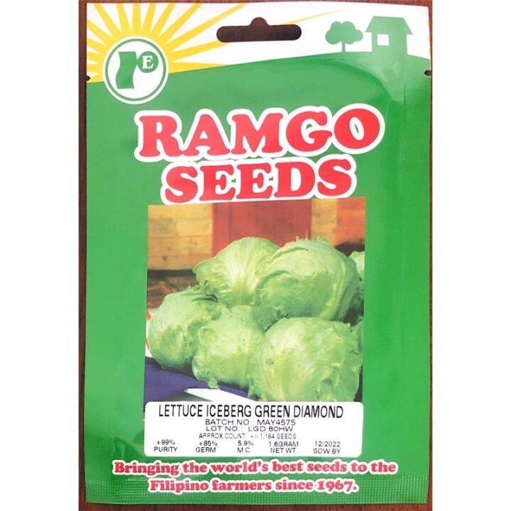 Ramgo Seeds Lettuce Iceberg Green Diamond | Lazada PH