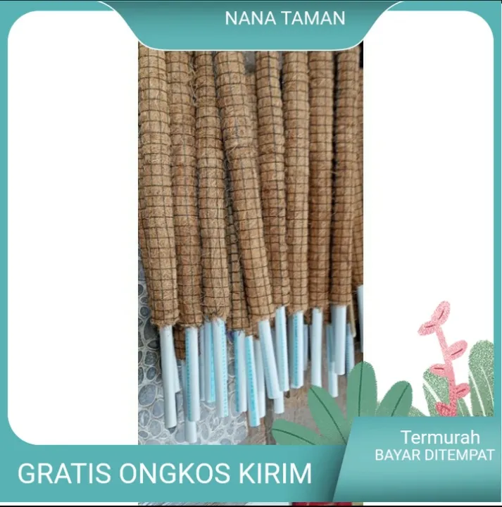 Turus PENYANGGA TANAMAN RAMBAT / TURUS TIANG TANAMAN / TURUS SERABUT ...