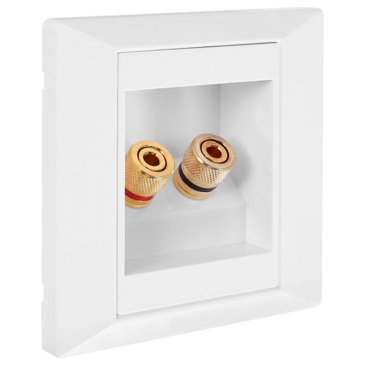 Wall Socket Connection Port with 2 Jack Speaker White | Lazada PH