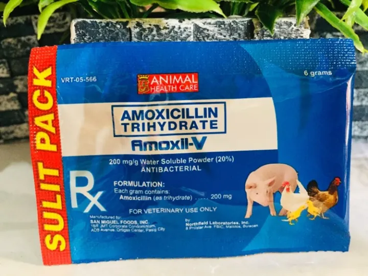 Amoxil-V 6gms (1 sachet) | Lazada PH