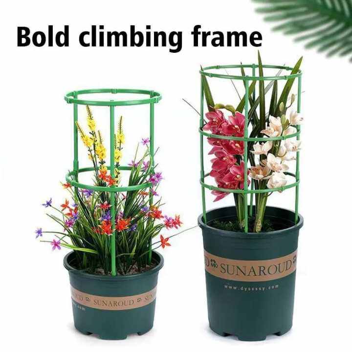 Angkringan TIANG TANAMAN turus bambu melingkar ajit tanaman turus ...