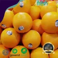 Buah Segar Jeruk Sunkist Navel USA FRESHGO 1/2kg | Lazada Indonesia