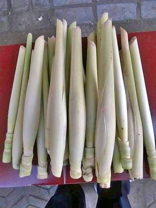 Sayur Terubuk Turubuk terubus tebu telor tiwu endog sayur lilin segar ...