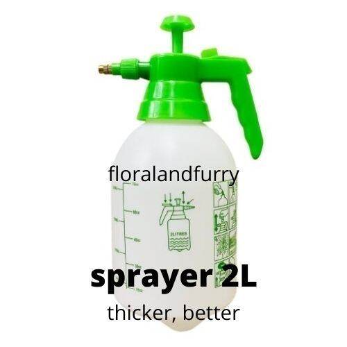 2L Home Garden Hand Pressure Sprayer With Adjustable Brass Spray Nozzle ...