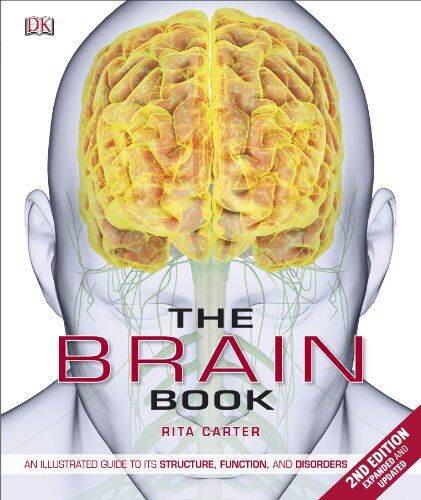 THE BRAIN BOOK | Lazada.co.th