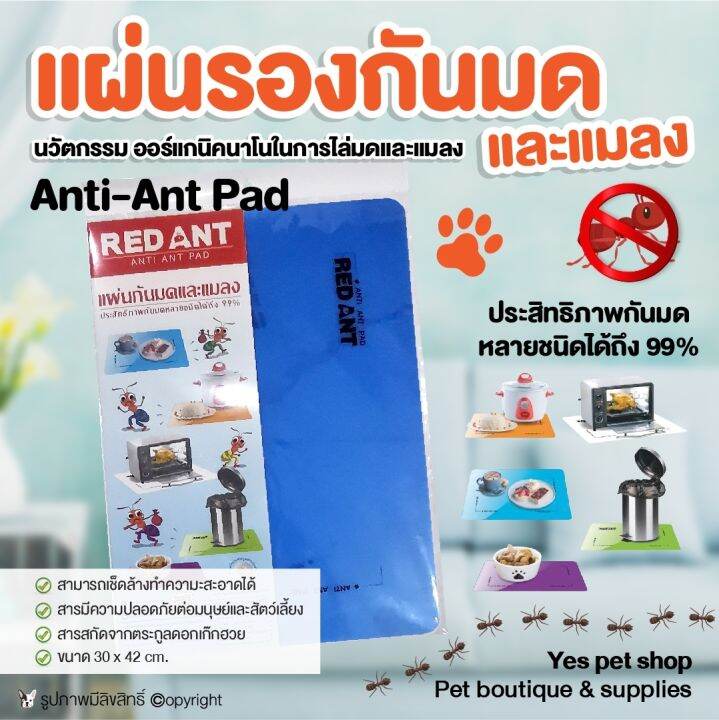 แผ่นกันมด แผ่นกันแมลง Anti-Ant Pad แผ่นรองกันมด แผ่นรองกันมดและแมลง สีน้ำเงิน โดย Yes Pet Shop ...