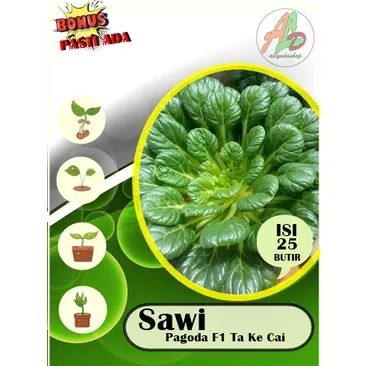 isi+- 25butir Benih Sawi Pagoda F1 Ta Ke Cai Known You Seed Tatsoi ...