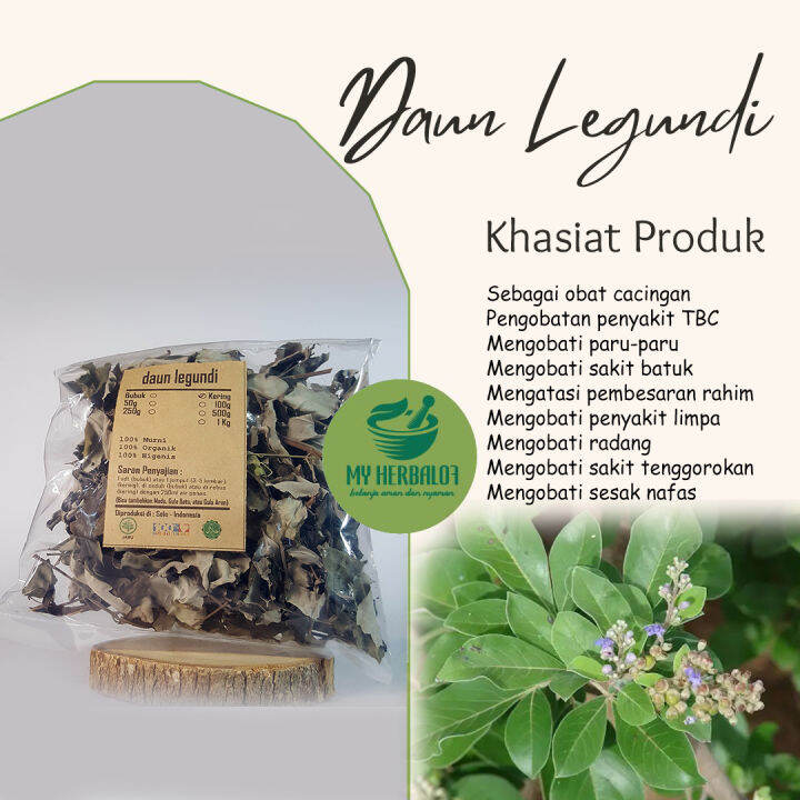 Herbal Daun Legundi Kering / Vitex Trifolia | Lazada Indonesia