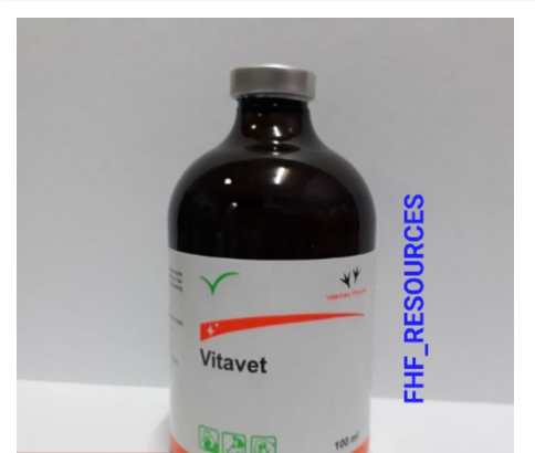 Nova Vitavet (Multivitamin) 100ML | Lazada