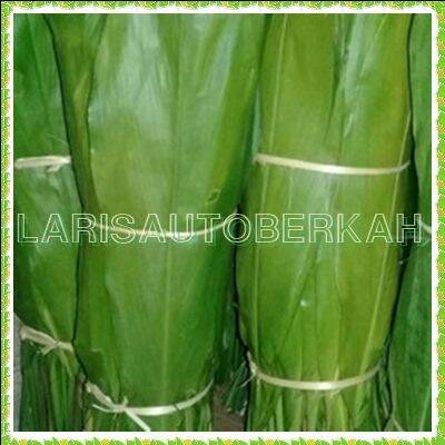 DAUN HANJUANG HANYUANG ANDONG HIJAU 1 kg | Lazada Indonesia