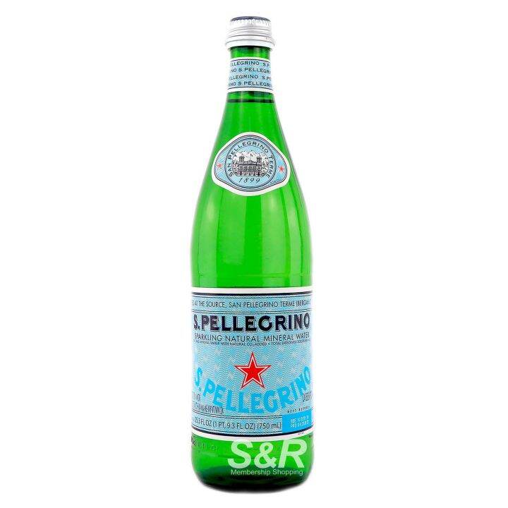 San Pellegrino Sparkling Natural Mineral Water 750mL | Lazada PH