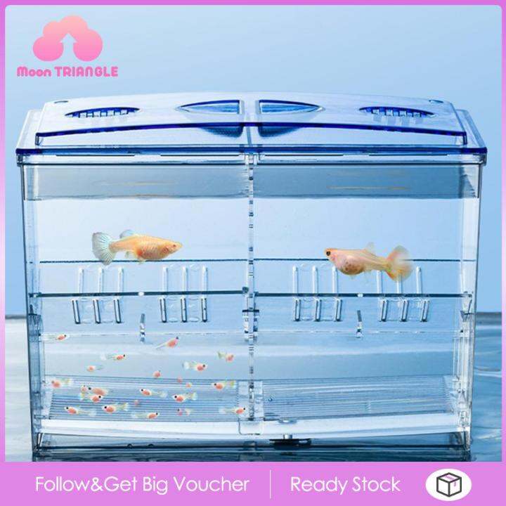 Moon TRIANGLE Fish Breeder Box Betta Tank Fish Incubator for Newborn ...