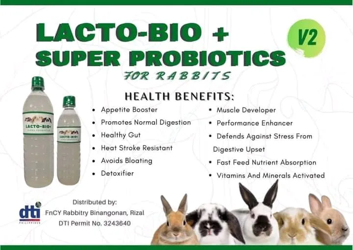 LACTO-BIO+SUPER PROBIOTICS FOR RABBIT VERSION 2 | Lazada PH
