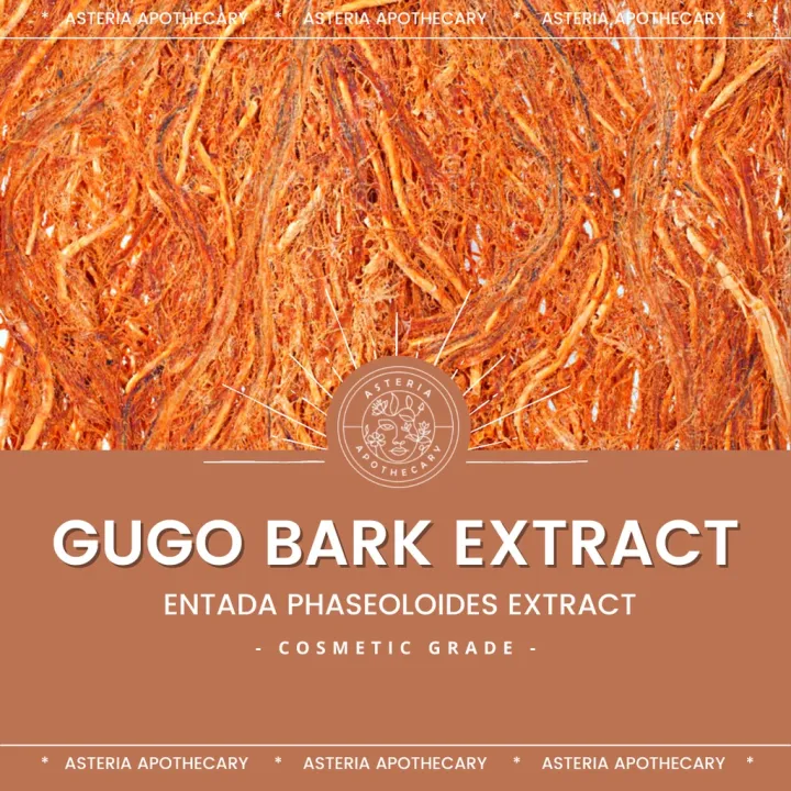 Gugo Bark Extract | Botanical Extract 30mL & 100mL - Asteria Apothecary ...