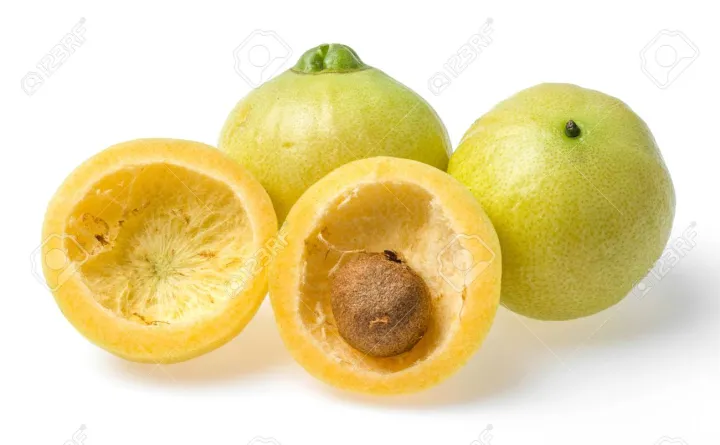 MDC- [ Buah ] ANAK POKOK Yellow Rose apple Sapling / Jambu Ros/mawar ...