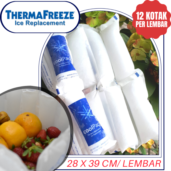 PENDINGIN ES KRIM TANPA LISTRIK - ES PACK LEMBARAN - BLUE ICE PACK (ICE ...