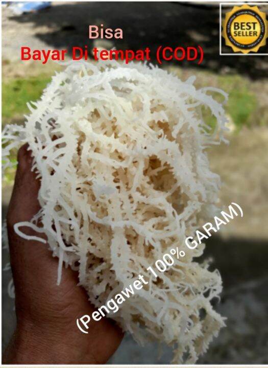 Rumput Laut Kering Normal kemasan 1kg | Lazada Indonesia