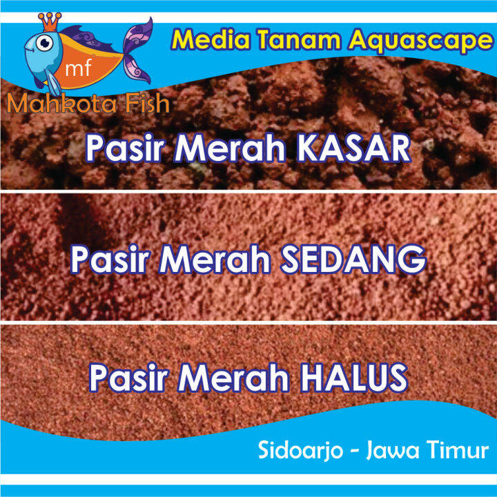 Pasir Malang Merah 250 gram | Pasir Merah | Pasir Aquascape | Pasir ...