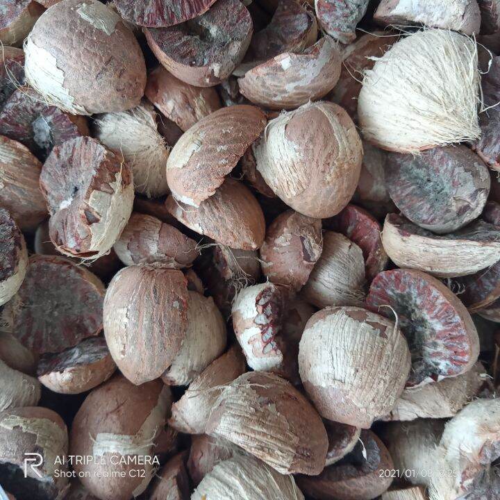 Buah pinang kering jemur matahari( buah Jambe) 500 gr | Lazada Indonesia