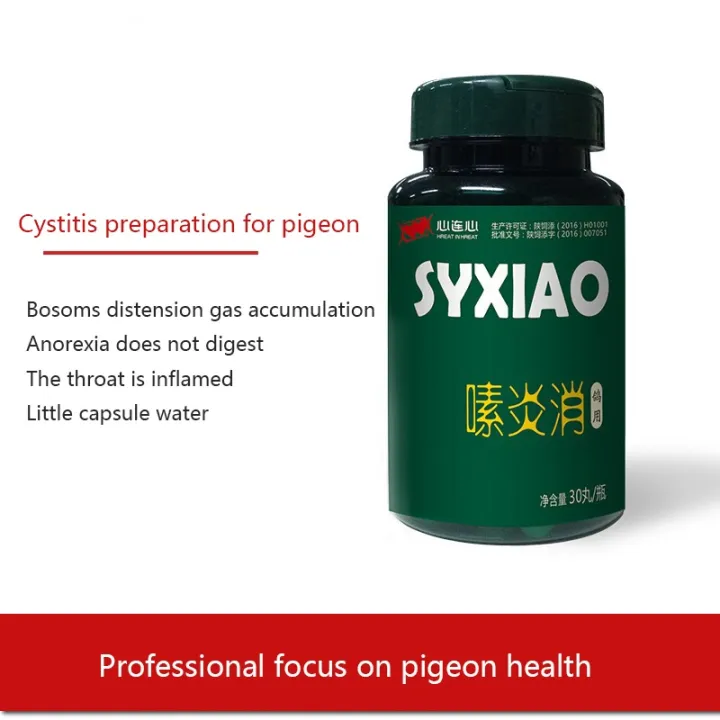 Pigeon Crop Hydrops Breathing Difficulty Crop Clear Anorexia Vomiting ...