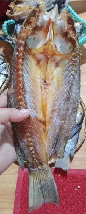 Dried BANAK Fish fresh from Masbate ¼ kilo. | Lazada PH