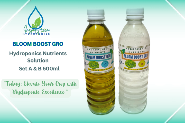 Hydroponics Solution Bloom Boost Gro 500ml Set Nutrients Solution | Lazada PH