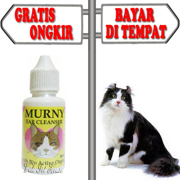 Pembersih Telinga Kucing Obat Tetes Kuping Murny | Lazada Indonesia