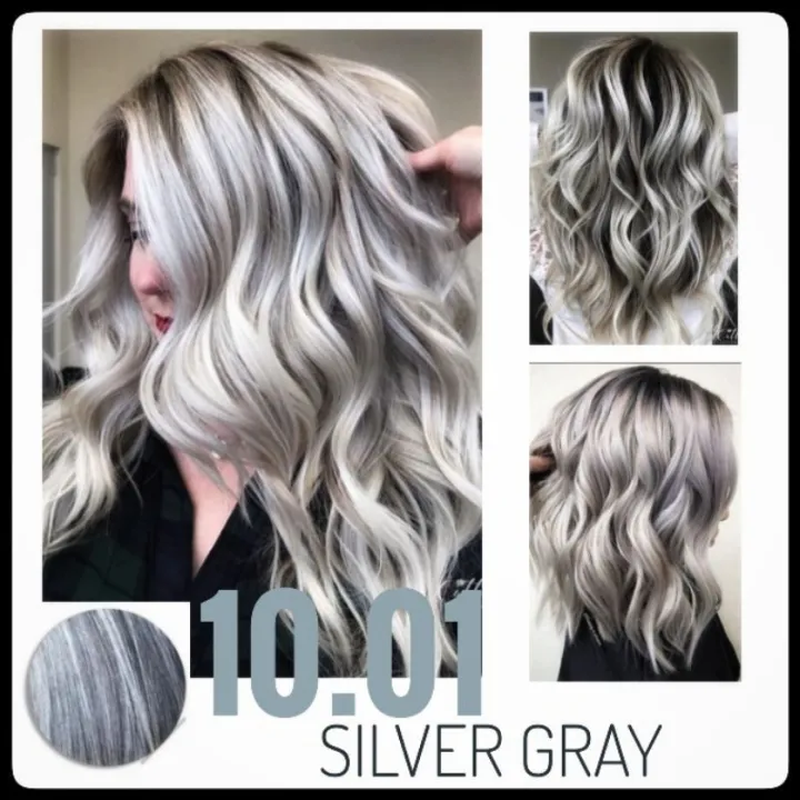 Silver Gray Bremod Hair Color | Lazada PH