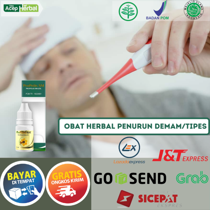 Obat Demam Tinggi, Sinusitis, Tipes, Meriang, Demam batuk, Typus ...