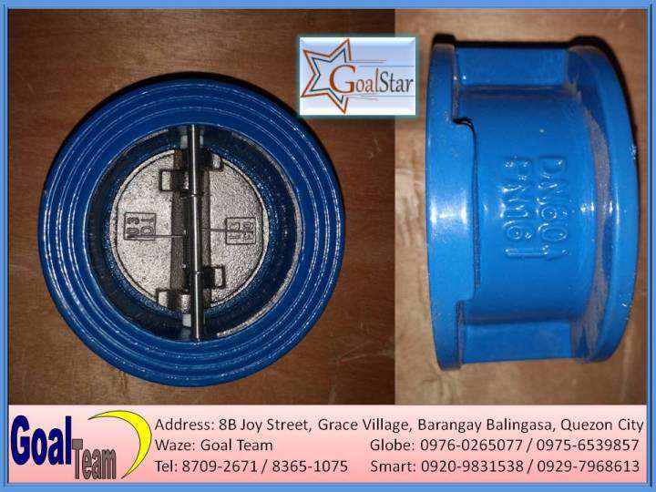 Wafer Check Valve 80mm (3in) | Lazada PH
