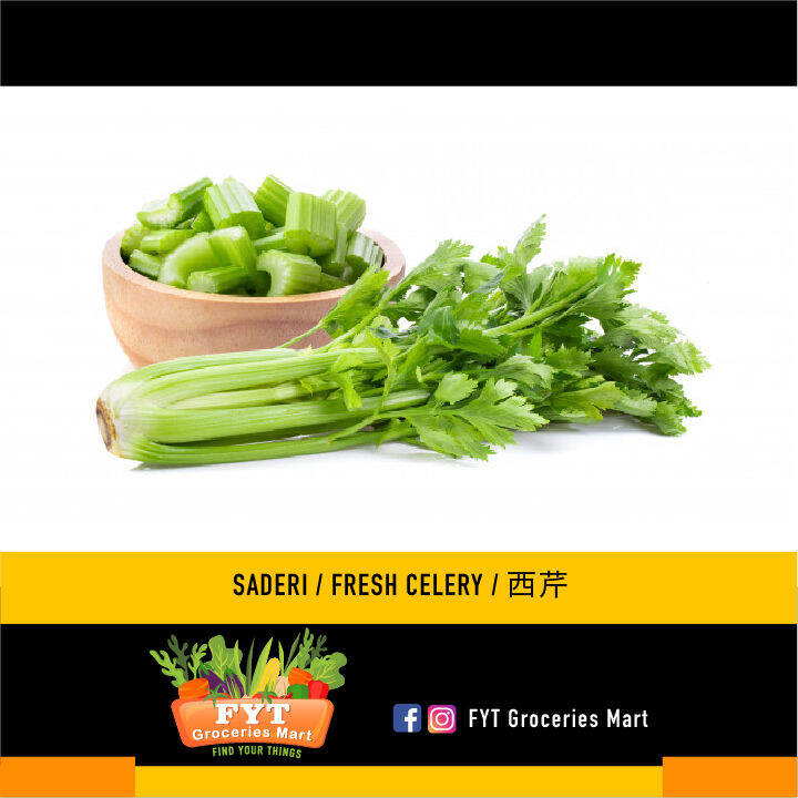 FYT GROCERIES - VEGETABLES - DAUN SADERI / FRESH CELERY / 西芹 (1kg) | Lazada