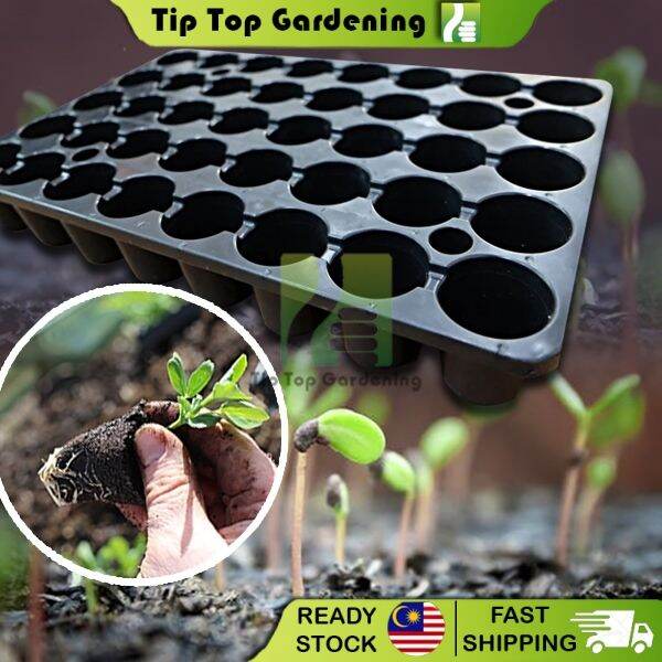 40 HOLES SEEDLING GROW TRAY PLANTS VEGETABLS FLOWERS GERMINATION PLANT ...