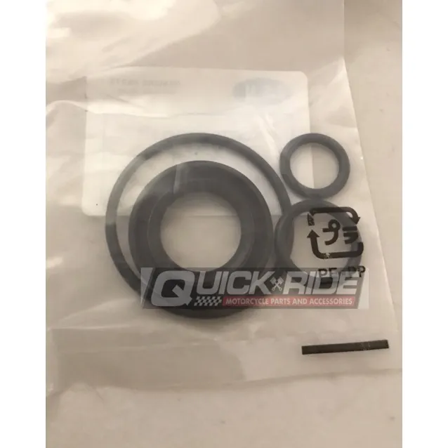 TMX 155 Magneto Repacking Kit (4 pcs / pack) Oil Seal, O-ring pipi ...