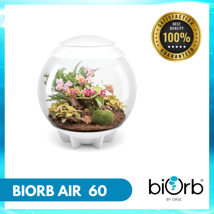 BIORB AIR 60 | Lazada PH