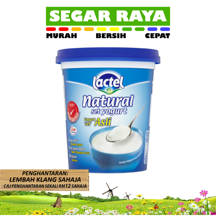 YOGURT Lactel Natural Yogurt (470g) Segar Raya | Lazada
