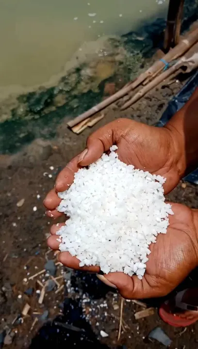 Dijamin Asin!!!Garam Grosok Fresh Baru panen | Lazada Indonesia