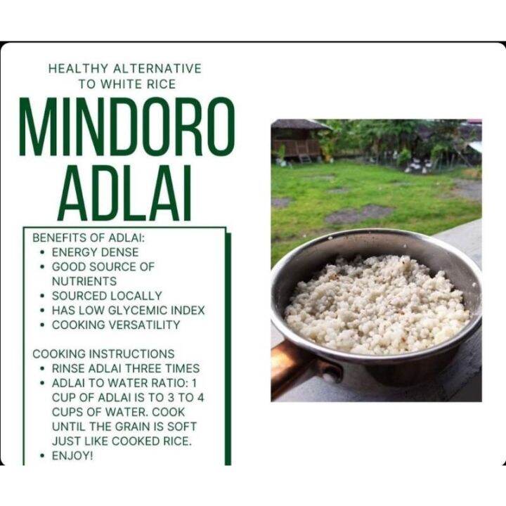 Mindoro Adlai Rice Farm to Table | Lazada PH