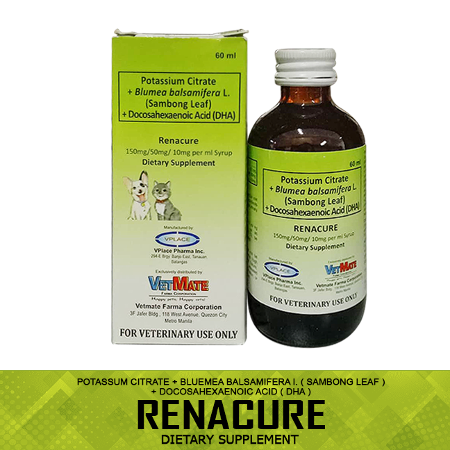 Renacure Dietary Supplement Potassium Citrate + Blumea Balsaifera L ...