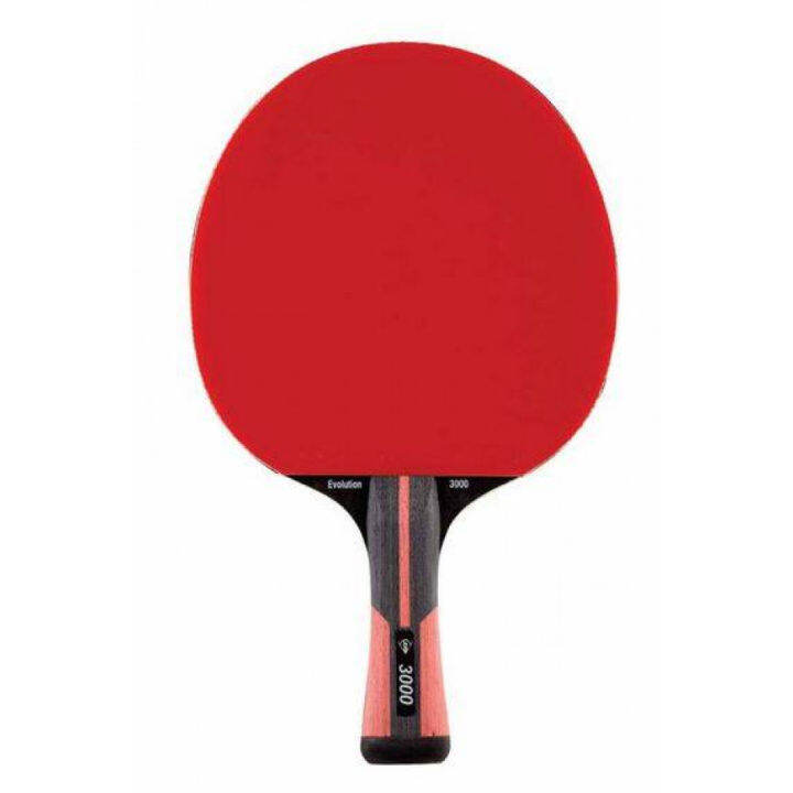 Dunlop Table Tennis Bat Evolution 3000 | Lazada PH