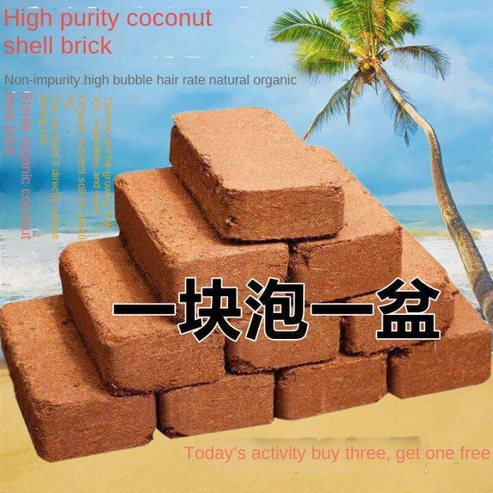 💖 READY STOCK 💖 Coconut Brick Coconut Soil Coconut Bran Nutritious Soil ...