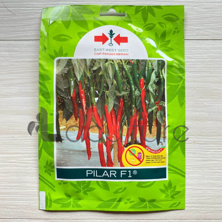 Benih cabe cabai besar PILAR F1 isi 125 butir - cap panah merah ...