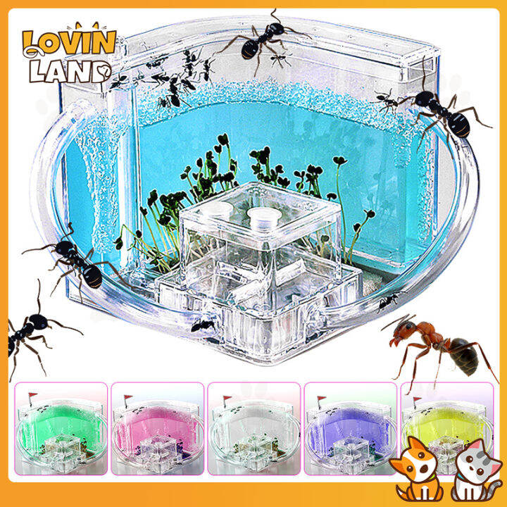 Lovinland Ant Farm Castle Habitat Educational Learning Science Kit Toy ...